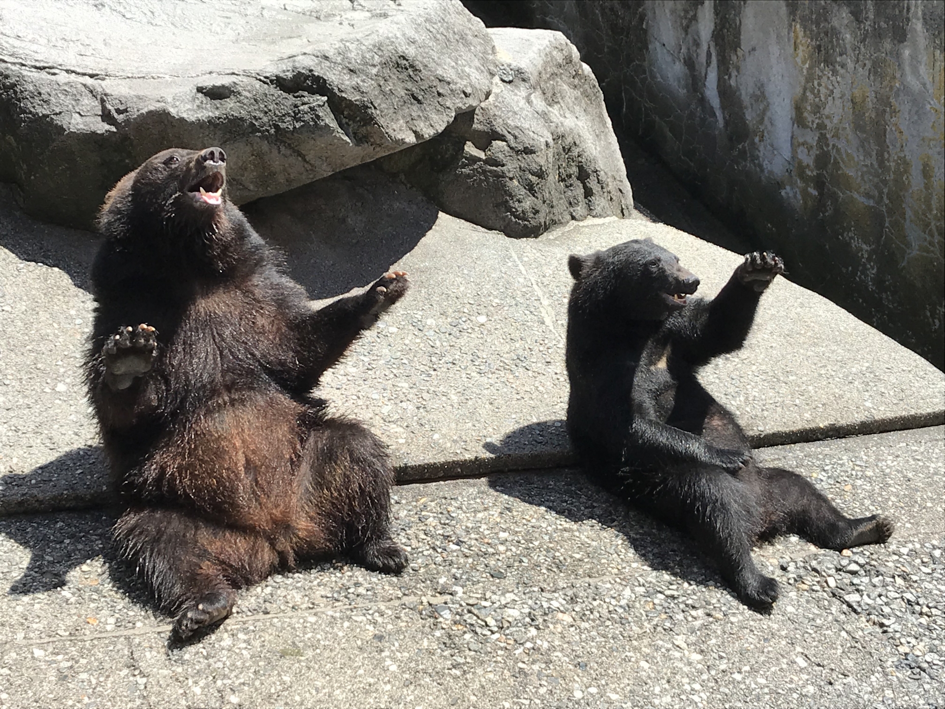 Tips for Enjoying the Northern Alps and Okuhida, Takayama